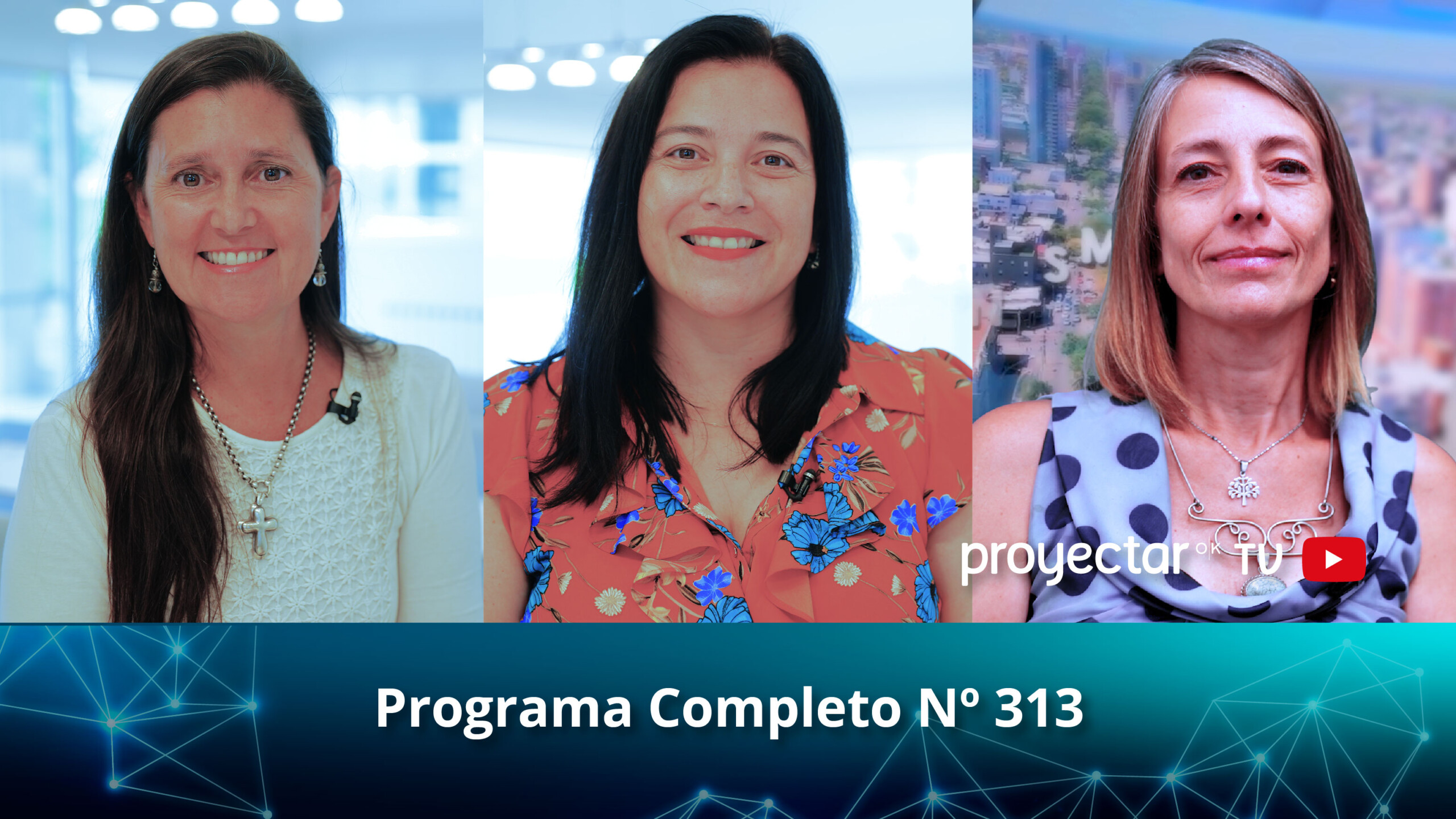 Programa 313 - Oleinizak